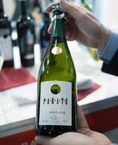 Cava Guide — What Makes the Spanish Sparkling Wine Special