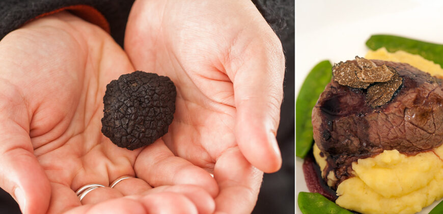 European Winter Treat in Vienna: Fresh Black Winter Truffles