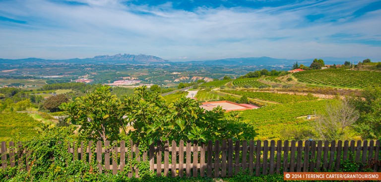 Best Cava Wineries Near Barcelona – A Penedès Wine Region Road Trip