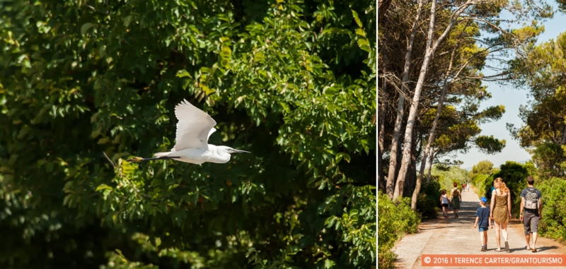 Mallorca Birdwatching – Spring on Mallorca Is Birding Time