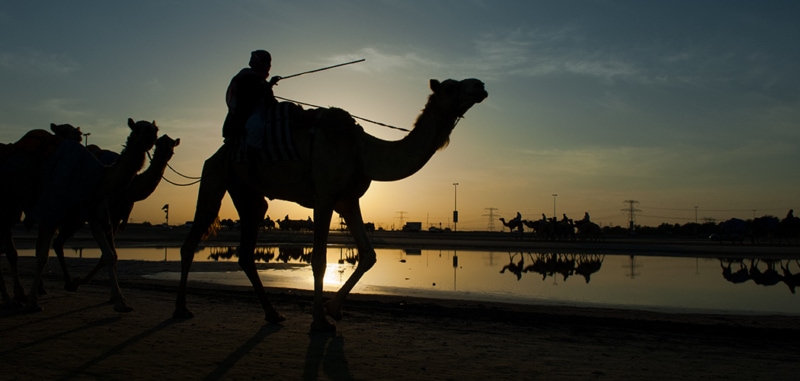 Middle East Travel Guide — Grantourismo Travel Guide to the Middle East